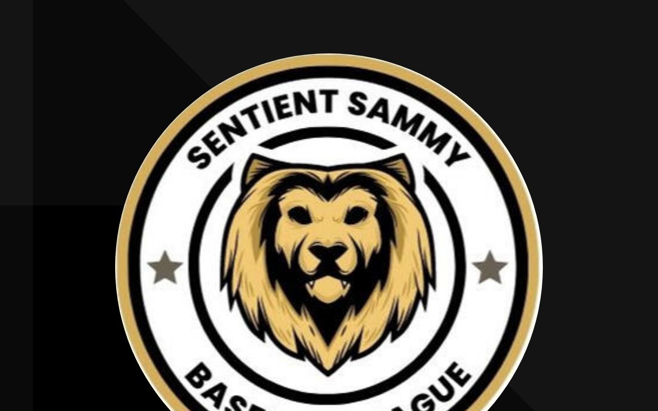 SSBL Sponsorship Hub